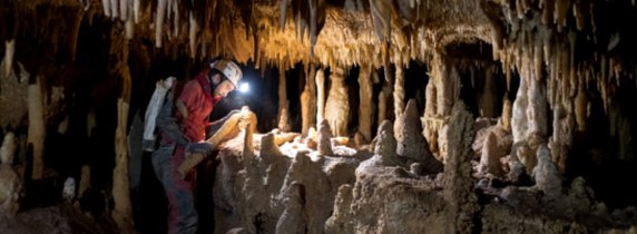 Research — University of Bologna